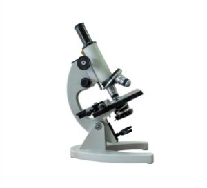 Compound Light Microscope: Everything You Need to Know » Microscope Club