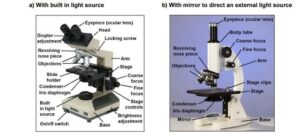 Compound Light Microscope: Everything You Need to Know » Microscope Club