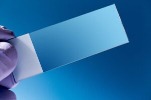 How to Prepare Microscope Slides: A Step by Step Guide » Microscope Club