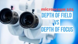 Microscope 101: Depth of Field vs Depth of Focus » Microscope Club
